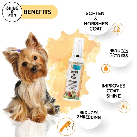 Spitz Complete Grooming Kit Papa Pawsome