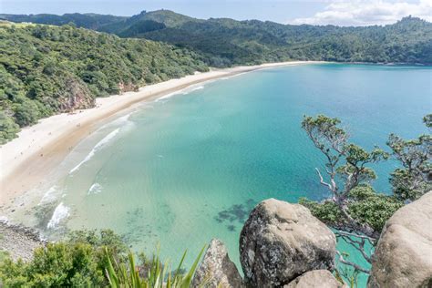 Top 10 Best Beaches North Island New Zealand For 2024 New Zealand