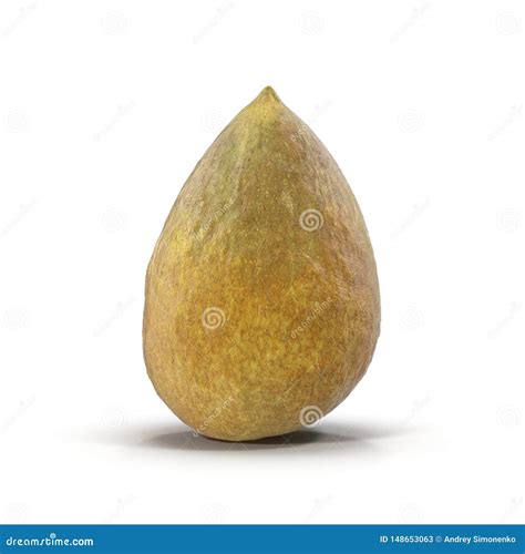 Avocado Seed Isolated On White Background 3d Illustration Stock