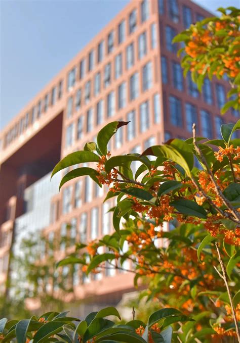 宁波大学科学技术学院