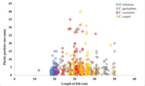 Fig Si53 Relationship Between Size Of Ingested Plastic Particles And