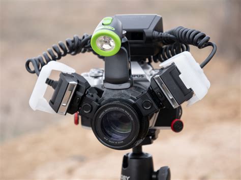 Insect Macro Photography Focus Stacking And Super Magnification