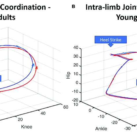 Illustration Of Hip Angle Ankle Angle Knee Angle Intra Limb