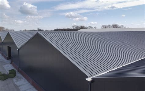 Carbon Assessment Of Buildings From Embodied Carbon To Whole Life