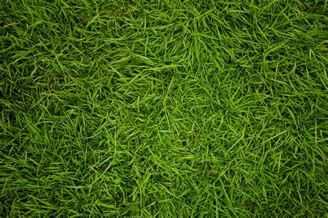 Premium Photo Full Frame Shot Of Grass On Field
