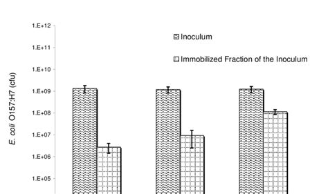 Average Total Number Of E Coli O157h7 In Inocula And The Average