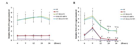 Long Noncoding Rna Malat1 Inhibits Apoptosis Induced By Oxygen Glucose