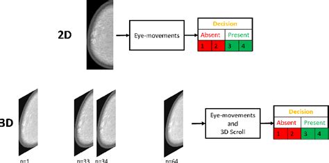 Convolutional Neural Network Model Observers Discount Signal Like Anatomical Structures During
