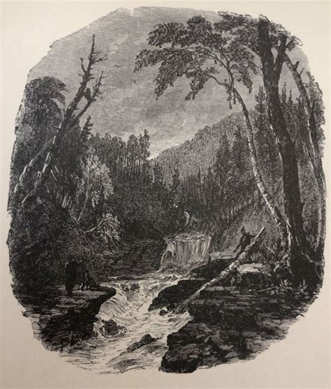 130 Thomas Moore Poet Ilustrasi Grafik Vektor And Clip Art Bebas