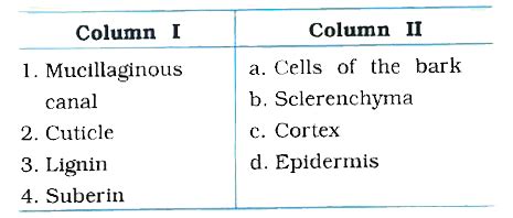 Match The Following