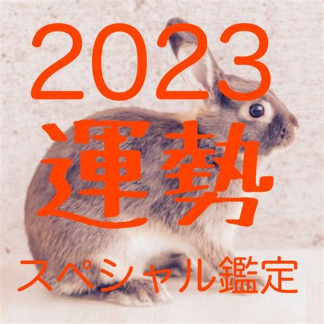 注文 占い 鑑定書送付 2023年の運勢 西洋占星術 四柱推命 スペシャル鑑定