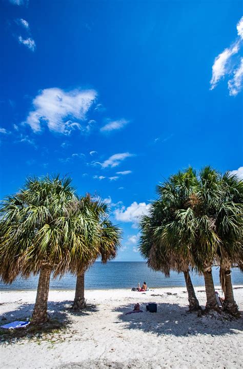 North Cedar Key Florida Beaches 8 Things To Do In Cedar Key Florida