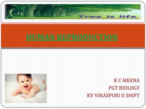 Human Reproduction Pptx Class Xii Biology Ppt