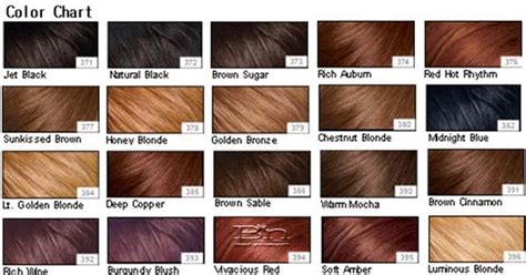 Chestnut Brown Hair Color Warm Mocha Hair And Makeup Pinterest