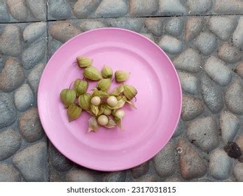 Plate Ceplukan Ciplukan Physalis Name Type Stock Photo Shutterstock