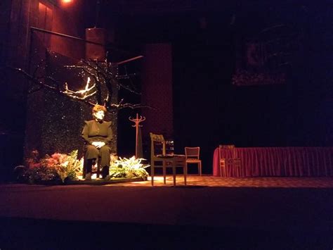 Kanadyjskie sukienki w Lubuskim Teatrze Radio Zachód Lubuskie