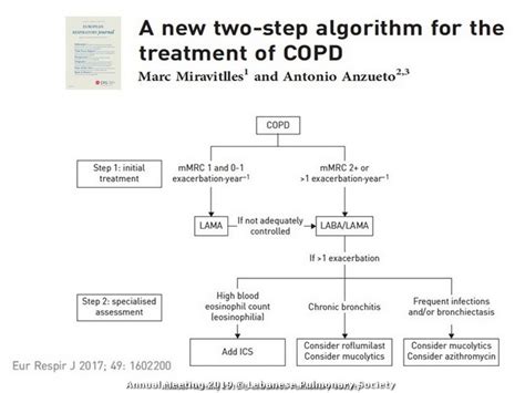 The Treatment Algorithm Of Copd Marc Miravitlles The Treatment Algorithm Of Copd Marc Miravitlles