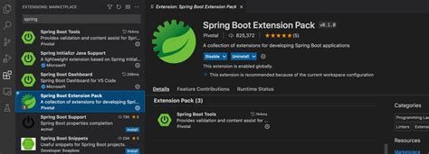 Visual Studio Code Spring Boot