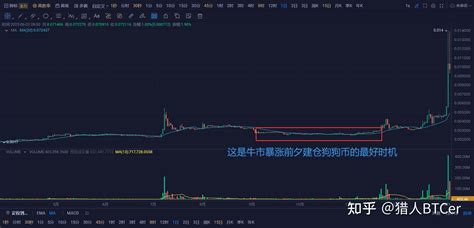 狗狗币背后的神秘主力——看马斯克如何在币圈翻云覆雨 知乎
