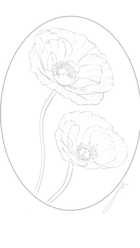 수채도안 양귀비꽃 블루로라 네이버 Ogq마켓