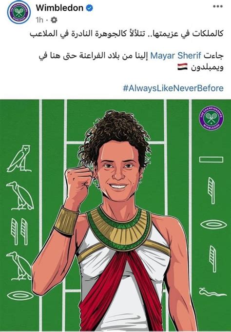 Mohamed Aboulnaga On Linkedin Egyptian Wow