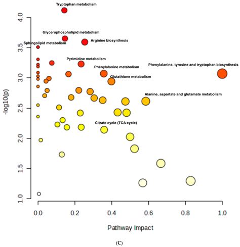 Synergistic Anti Cancer Effects Of Curcumin And Thymoquinone Against