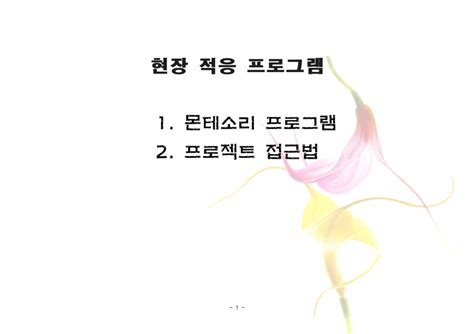 유아교육과정 현장 적응 프로그램 몬테소리 프로그램 프로젝트 접근법 인문교육