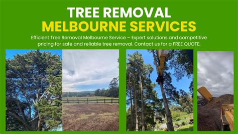 Tree Removal Melbourne Services With Full Pricing Guide
