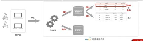 Web开发中mysql数据库的使用web Mysql Csdn博客 Web开发中mysql数据库的使用web Mysql Csdn博客