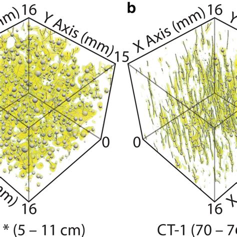 Three Dimensional Visualization Of The Extracted Pore Network For A