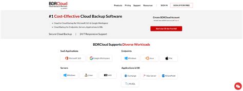 Top 13 Best Microsoft Office 365 Backup Software Solutions 2025 Cloudsmallbusinessservice