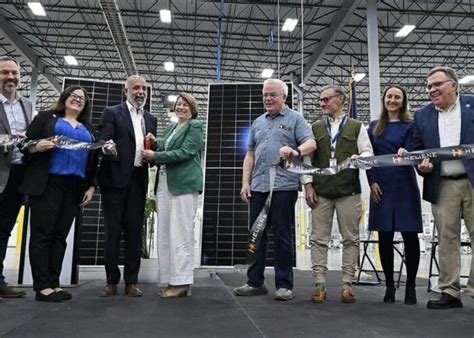 The Top 10 Pv Module Suppliers In 2024 Pv Tech