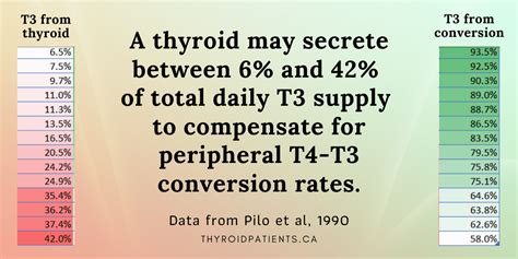 Flexible Ratio T3 T4 And Ndt Combination Thyroid Therapy Thyroid