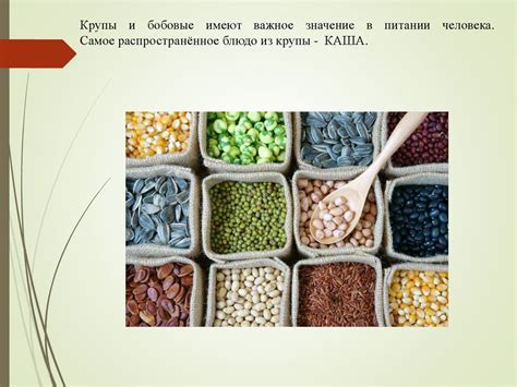 Блюда из круп и бобовых 6 класс презентация онлайн