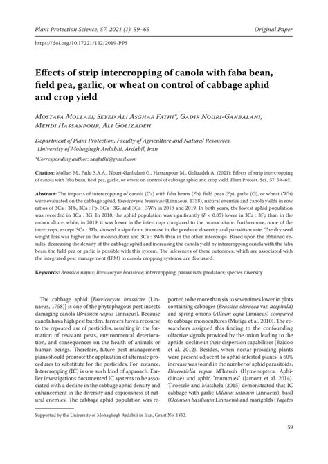 (PDF) Effects of strip intercropping of canola with faba bean, field pea, garlic, or wheat on ...