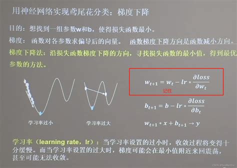 跟着北京大学教授学习tensorflow2 0 csdn博客