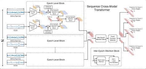 Towards Interpretable Sleep Stage Classification Using Cross Modal