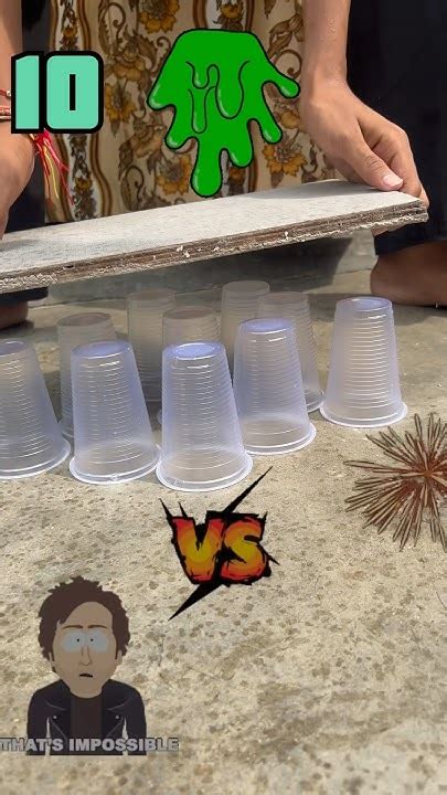 How Many Plastic Glasses Can Hold My Weight🤯 Youtubeshorts Shorts Shortsfeed Plasticglass