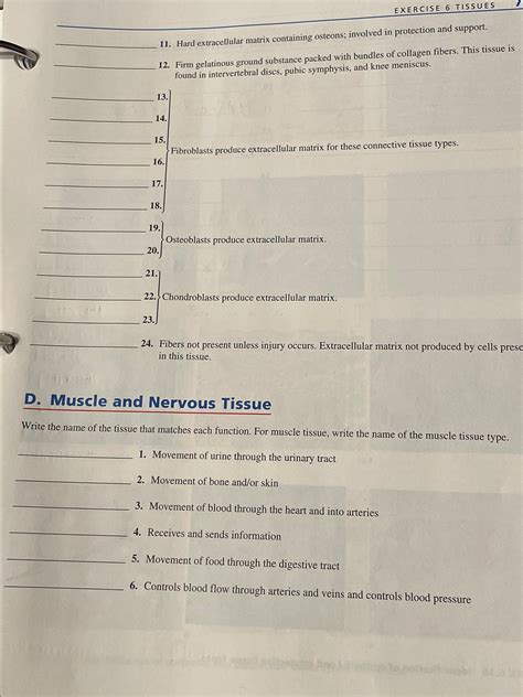 Solved Exercise 6 ﻿tissues11 ﻿hard Extracellular Matrix