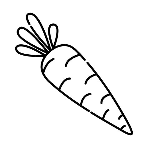 Premium Vector Carrot Black And White Vector Line Icon