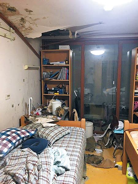 조선에듀 프리미엄 교육전문 미디어