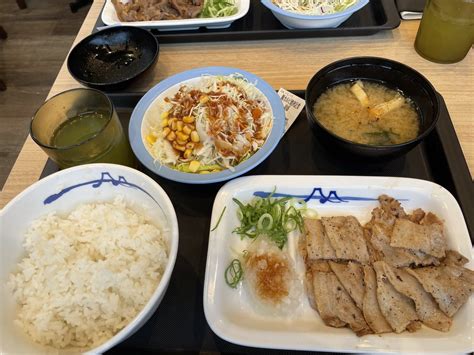 サヨナラ負け 逍遙自在Ⅱ