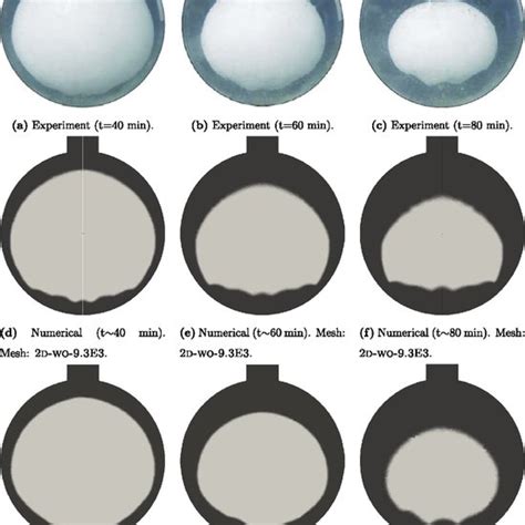 Comparison Of The Experimental Photographs Of Tan Et Al 49 And Download Scientific Diagram