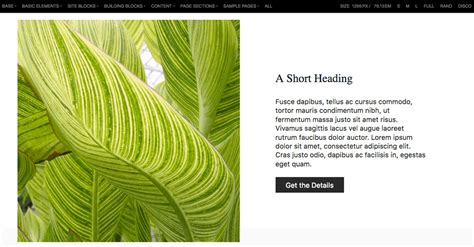 Integrating A Drupal Text With Image Paragraph Bundle With Patternlab