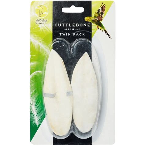 5 Best Cuttlebones For Birds 2025 According To Reviews Chewy