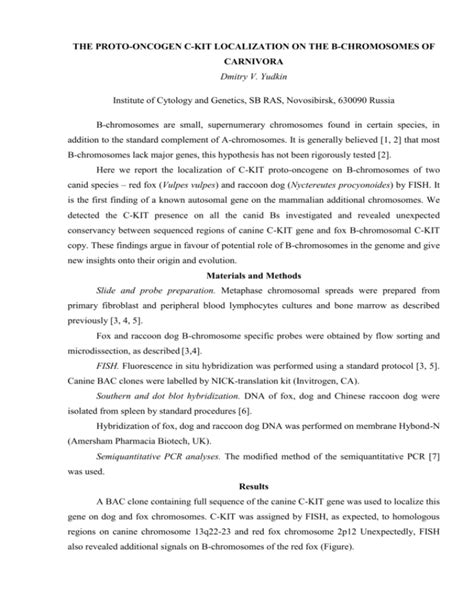 The Proto Oncogen C Kit Localization On The B