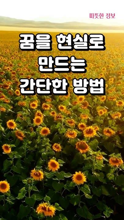 꿈을 현실로 만드는 간단한 방법 명언모음 삶의지혜 인생명언 좋은글귀 Youtube