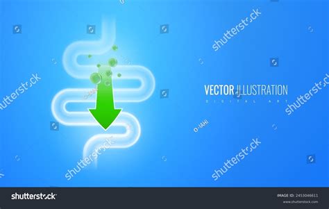 Intestinal Metabolism Vector Illustration Abstract Digestive Stock