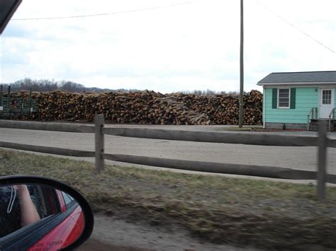Logging In West Virginia And It S Consequences The Wvb